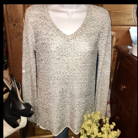 Apt. 9 | Sweaters | Apt 9 Gorgeous Shiny Sweater Sheer Bottom | Poshmark